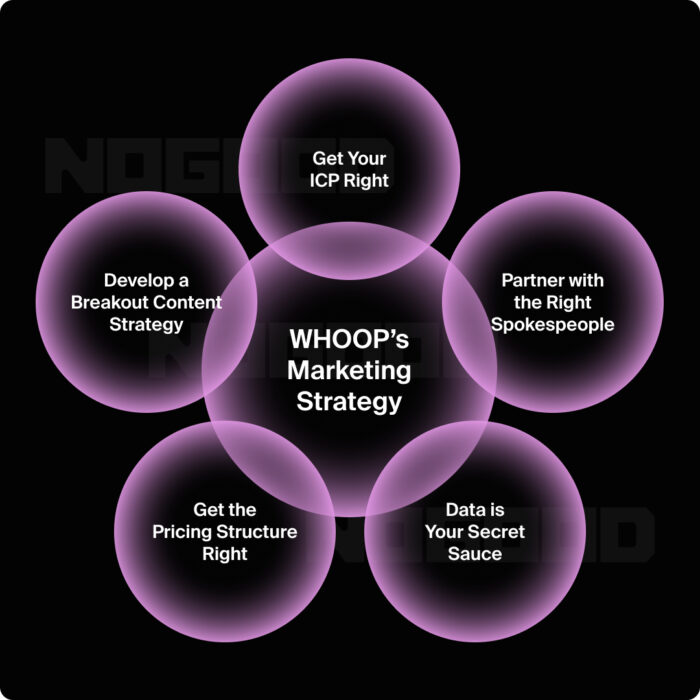 WHOOP Marketing Strategy: The Path to Rapid Growth | NoGood